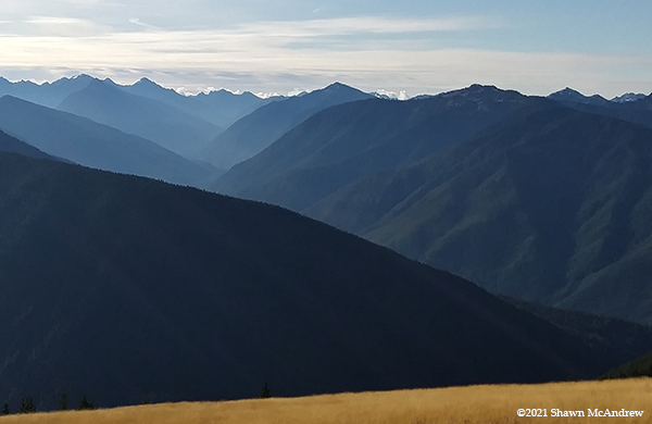 Feeling Spacious | Hoffman Institute Foundation | Tools Tips